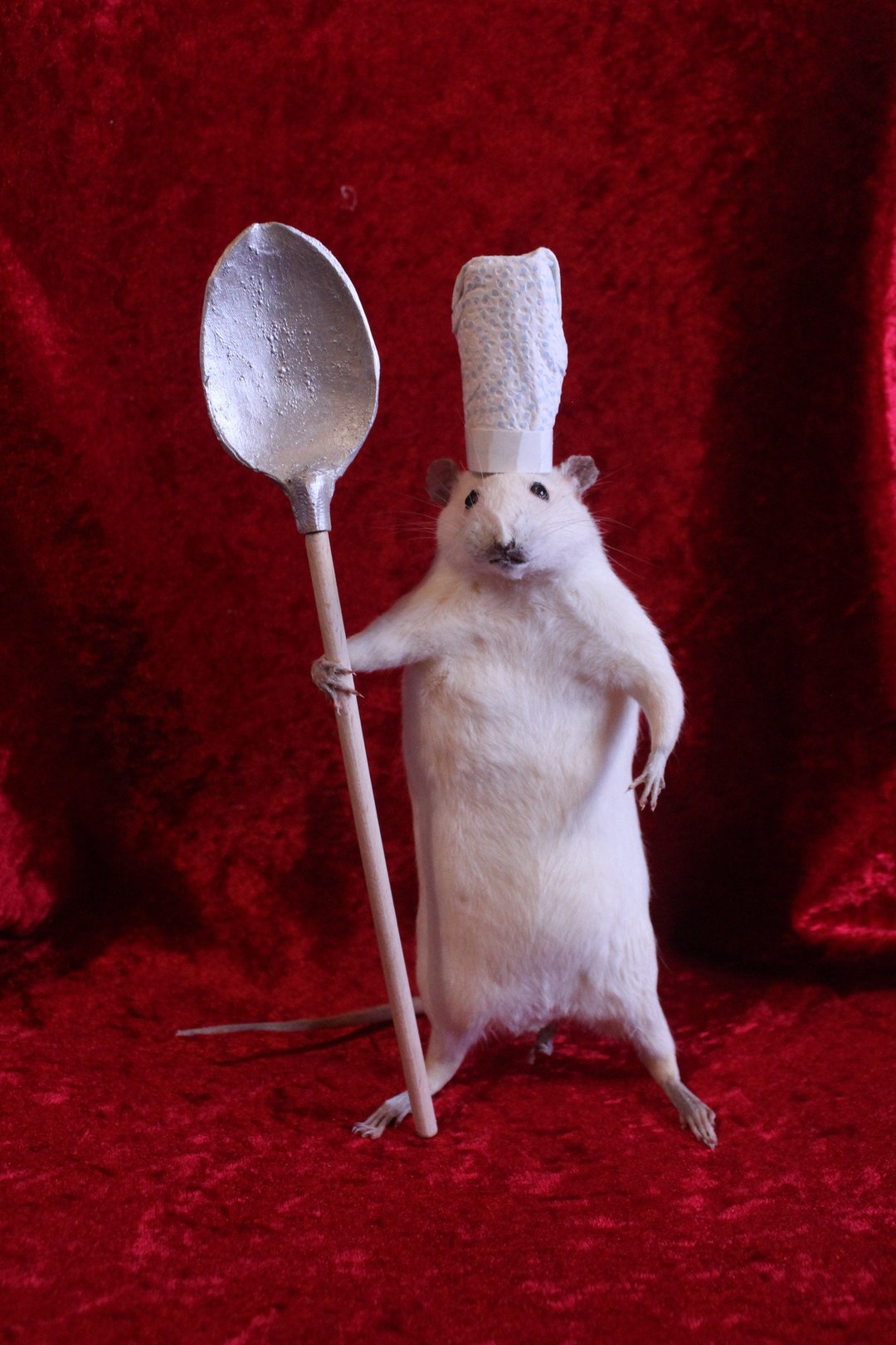 Taxidermy Rat Cook Taxidermy Cook Rat Cabinet of Curiosities Odditties ...