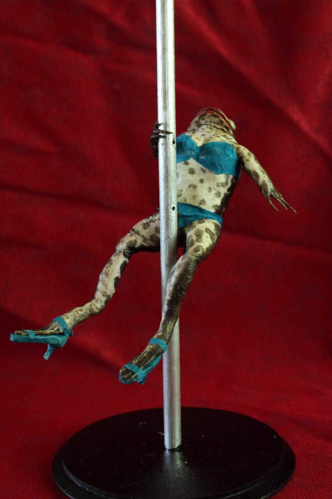 Taxidermy Frog Stripper in Heel Taxidermy Frog Pole Dance Sexy - Etsy