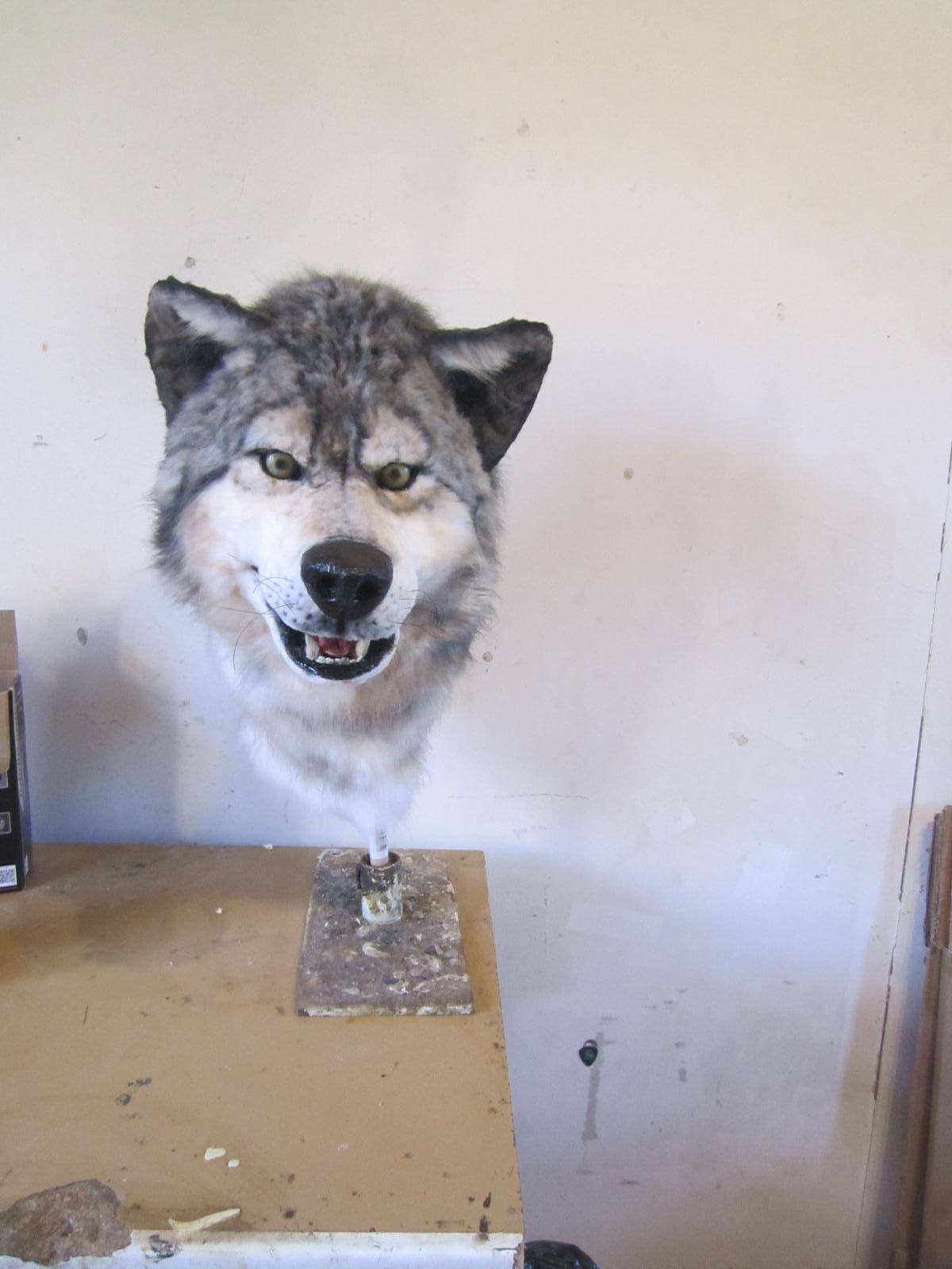 Grey Wolf Mask Fursuit Mask Wolf Fursuit to Book | Etsy