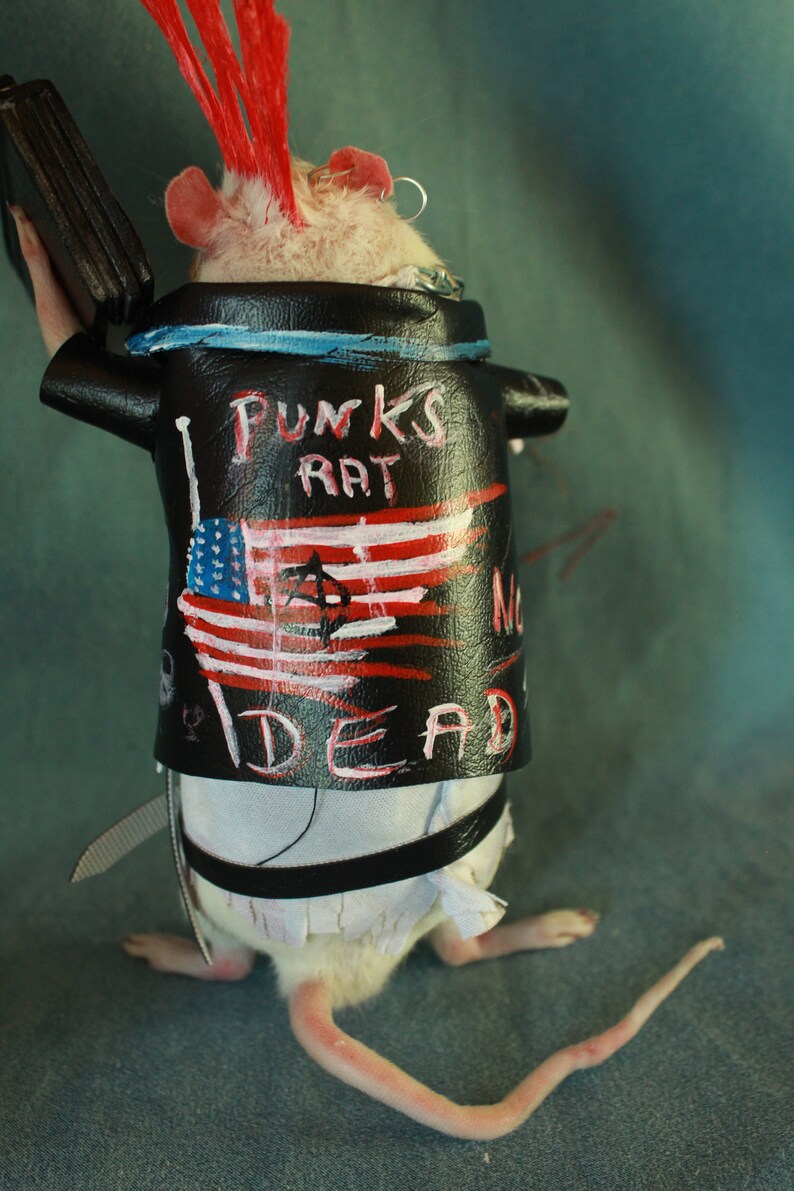 Taxidermy Rat Punk Radio Taxidermy Rat Punk Cabinet of | Etsy