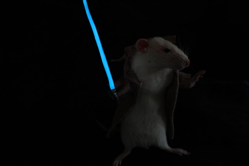 Taxidermie rat jedi stars wars taxidermy rat kuriose praxis | Etsy