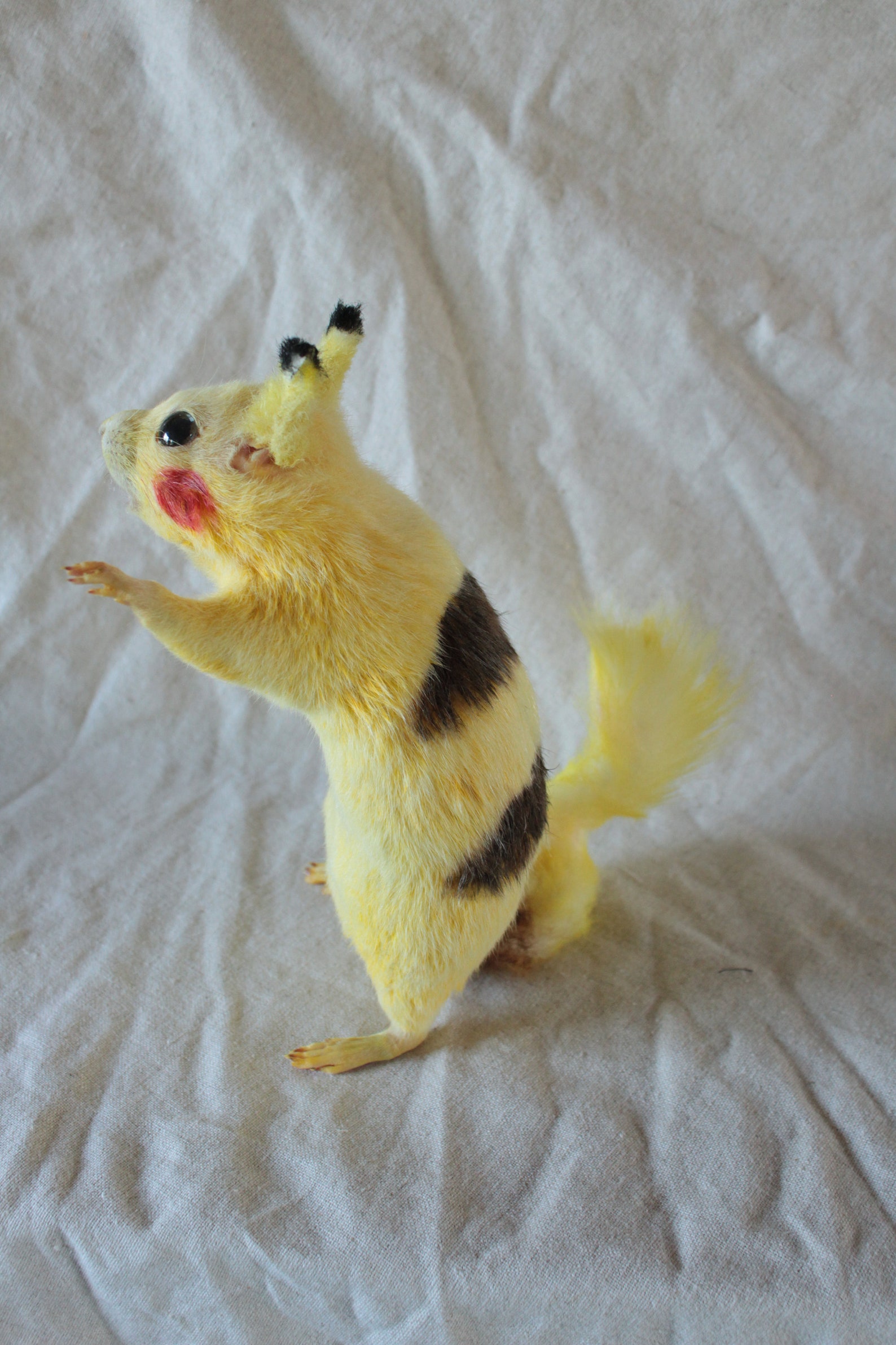 Taxidermy CUTE Rat PIKA Cartoon Japanese Taxidermy Rat PIKA - Etsy