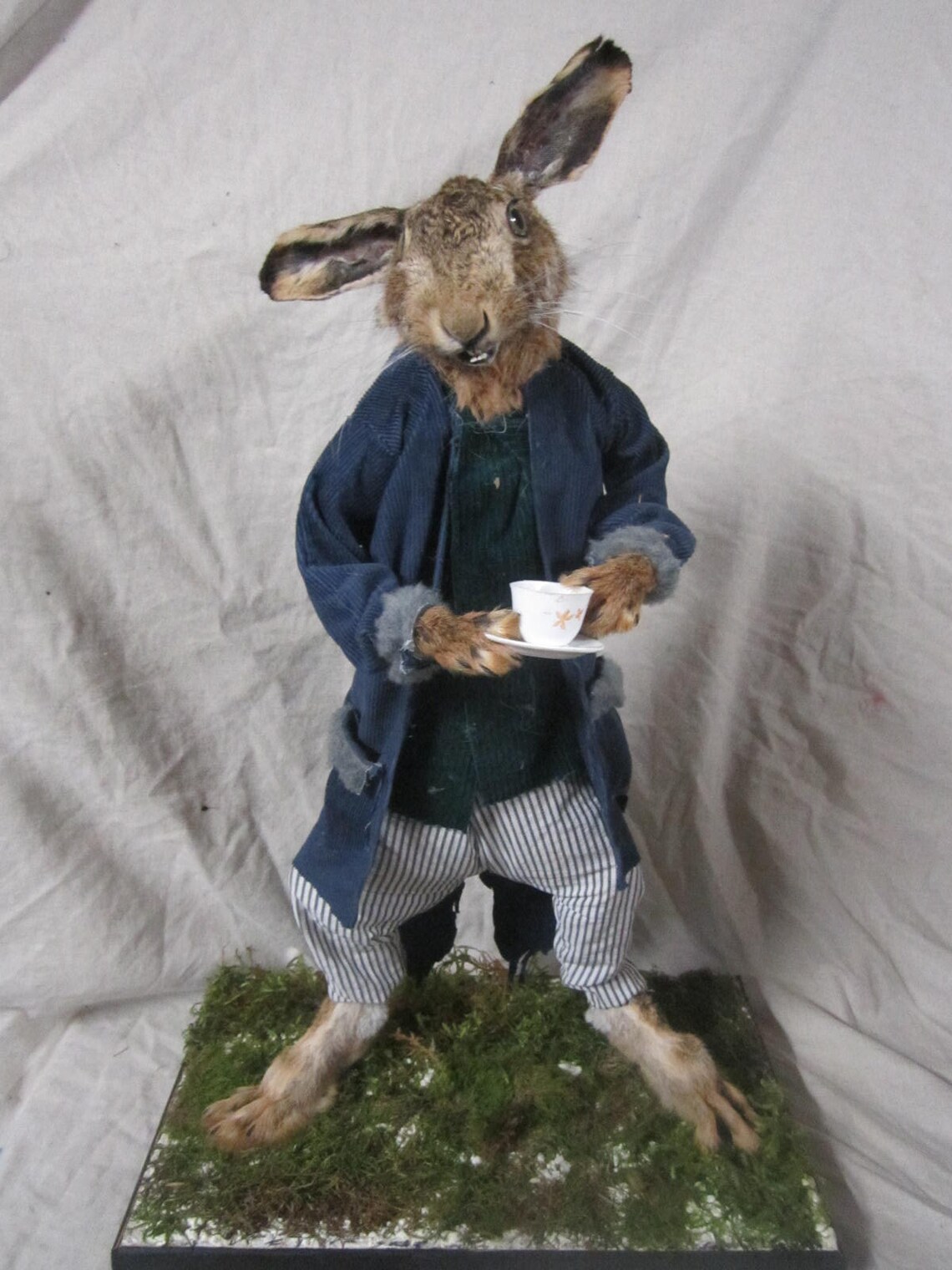 A reserve anthropomorphic taxidermy hare of March alice | Etsy