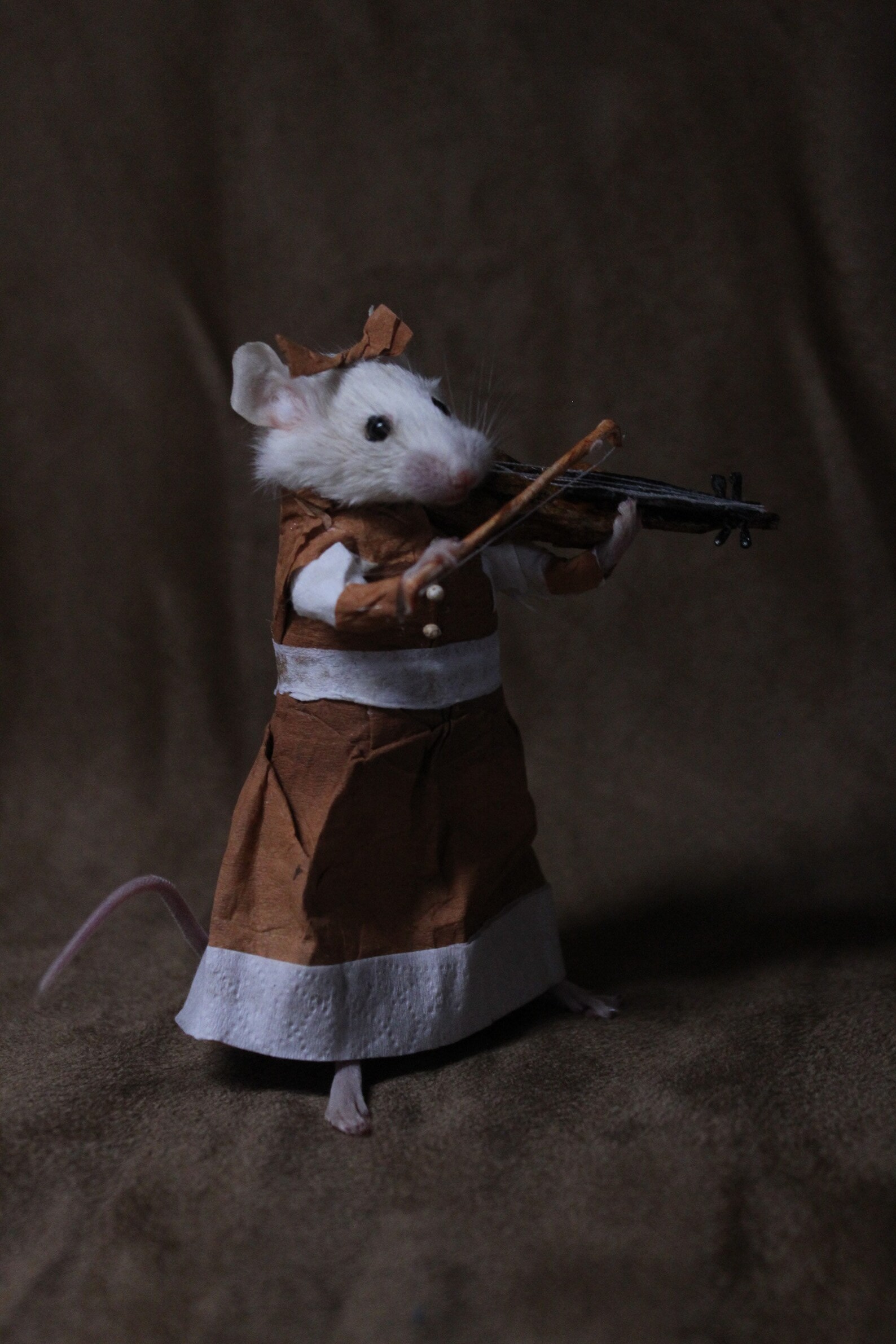 Taxidermy Mouse Musician Violinist Taxidermy Mouse Cabinet of ...