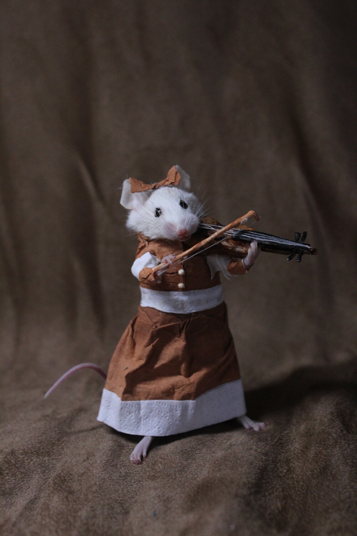 Taxidermy Mouse Musician Violinist Taxidermy Mouse Cabinet of ...