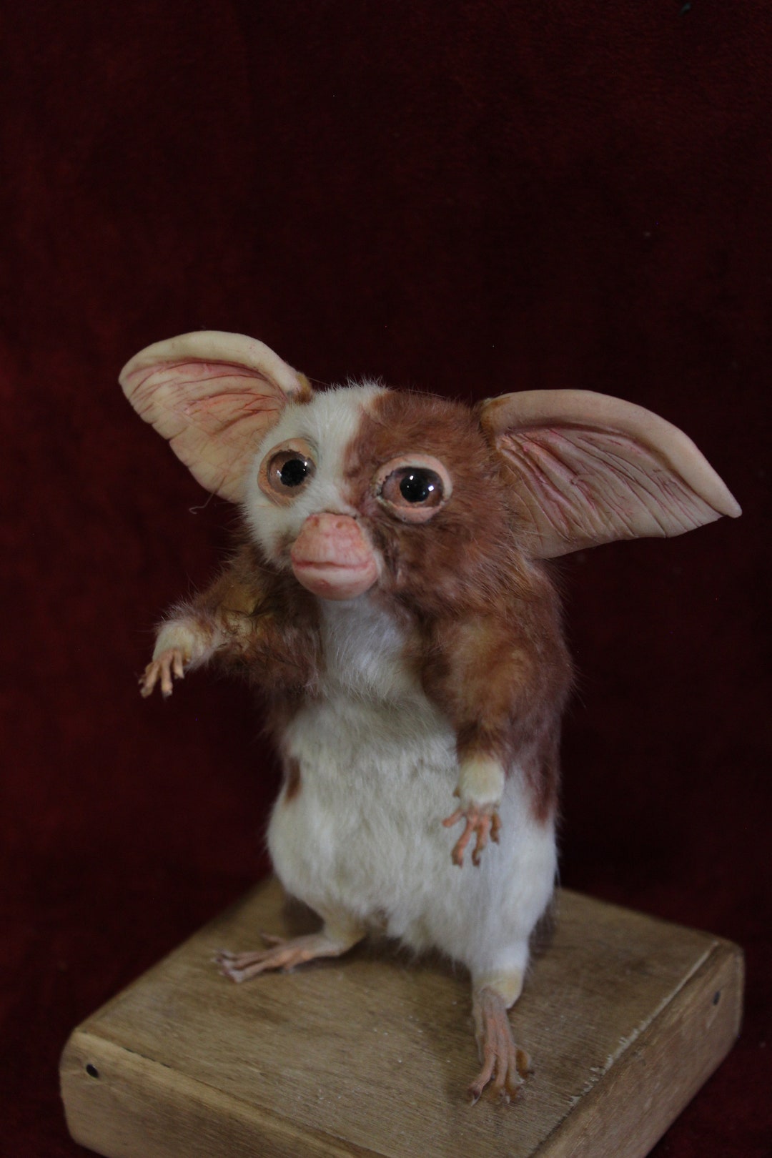 Taxidermy Rat Cute Mogwai Taxidermy Rat Cabinet of Curiosities ...