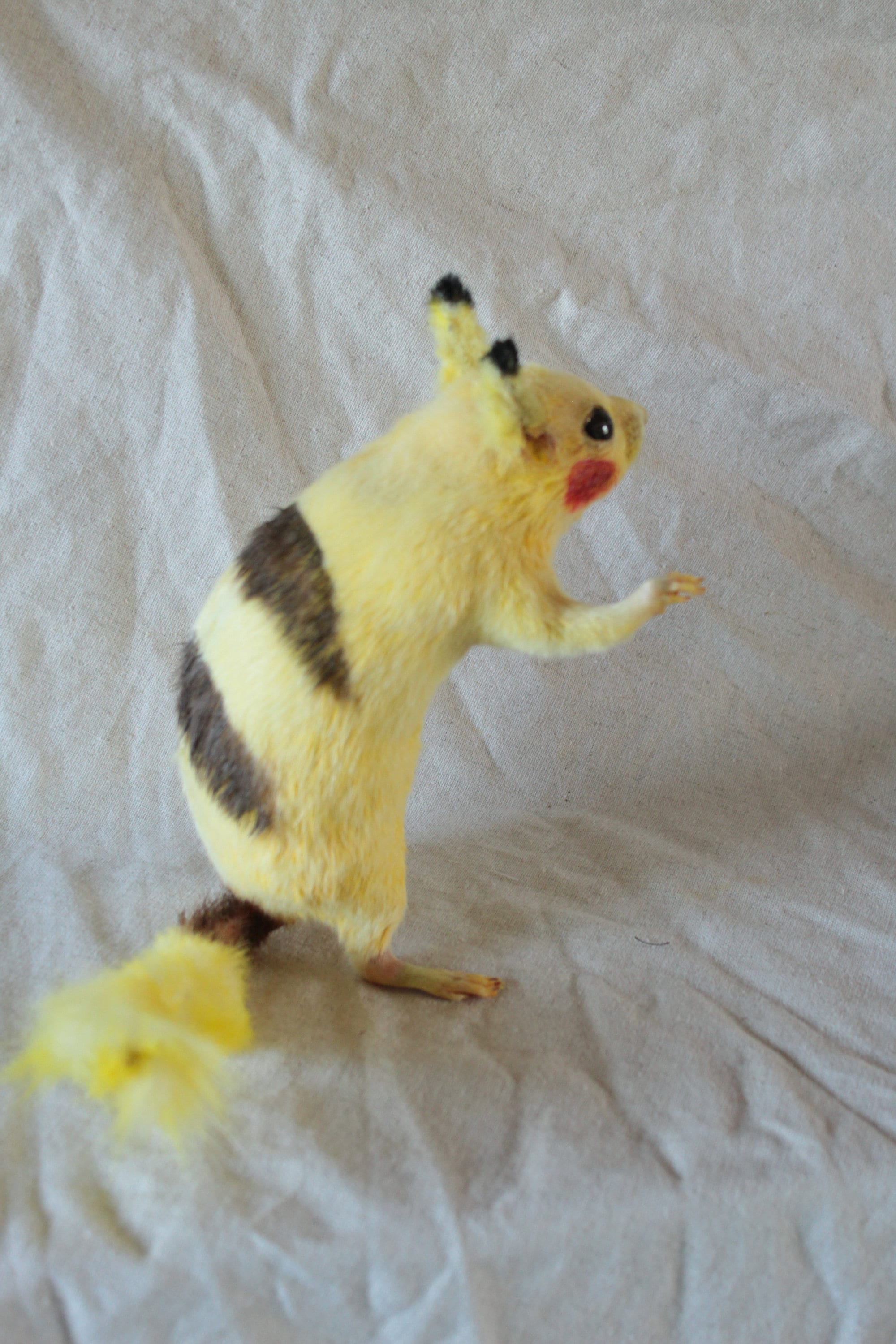 Taxidermy MIGNON Rat PIKA Japanese Cartoon Taxidermy Rat PIKA - Etsy UK