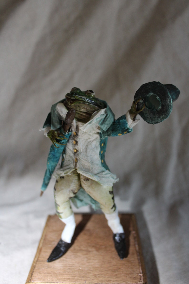 Taxidermy Frog Dandy Taxidermy Frog Curiosity Oditties - Etsy Canada
