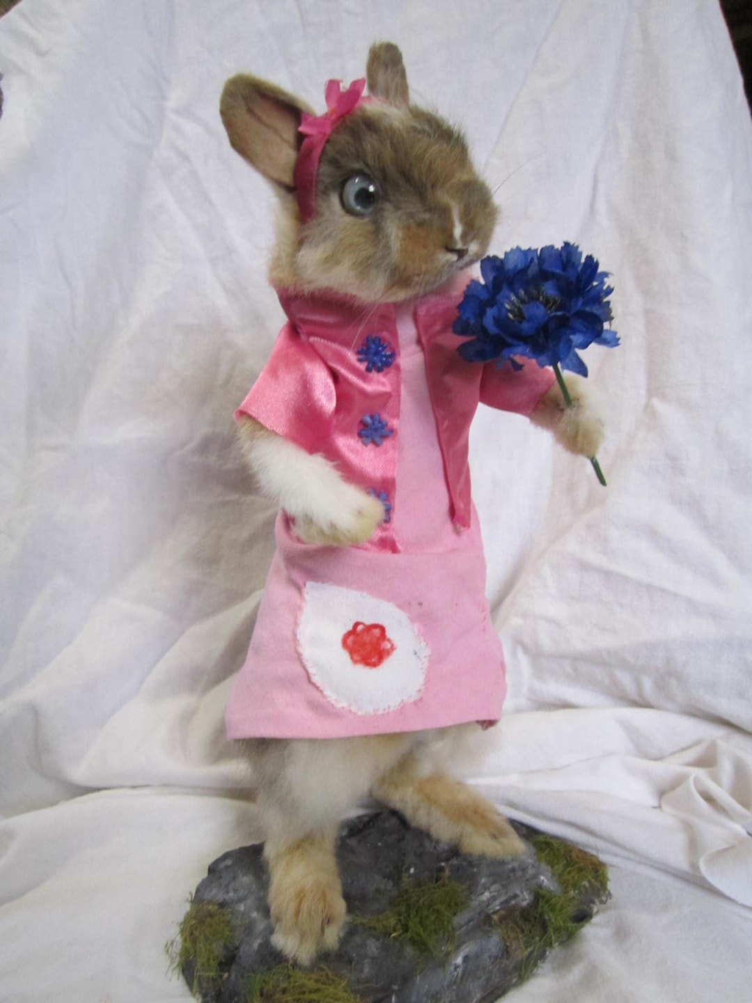 Taxidermy Rabbit Tale Flower Bouquet Rodent Taxidermy Rabbit Curiosity ...