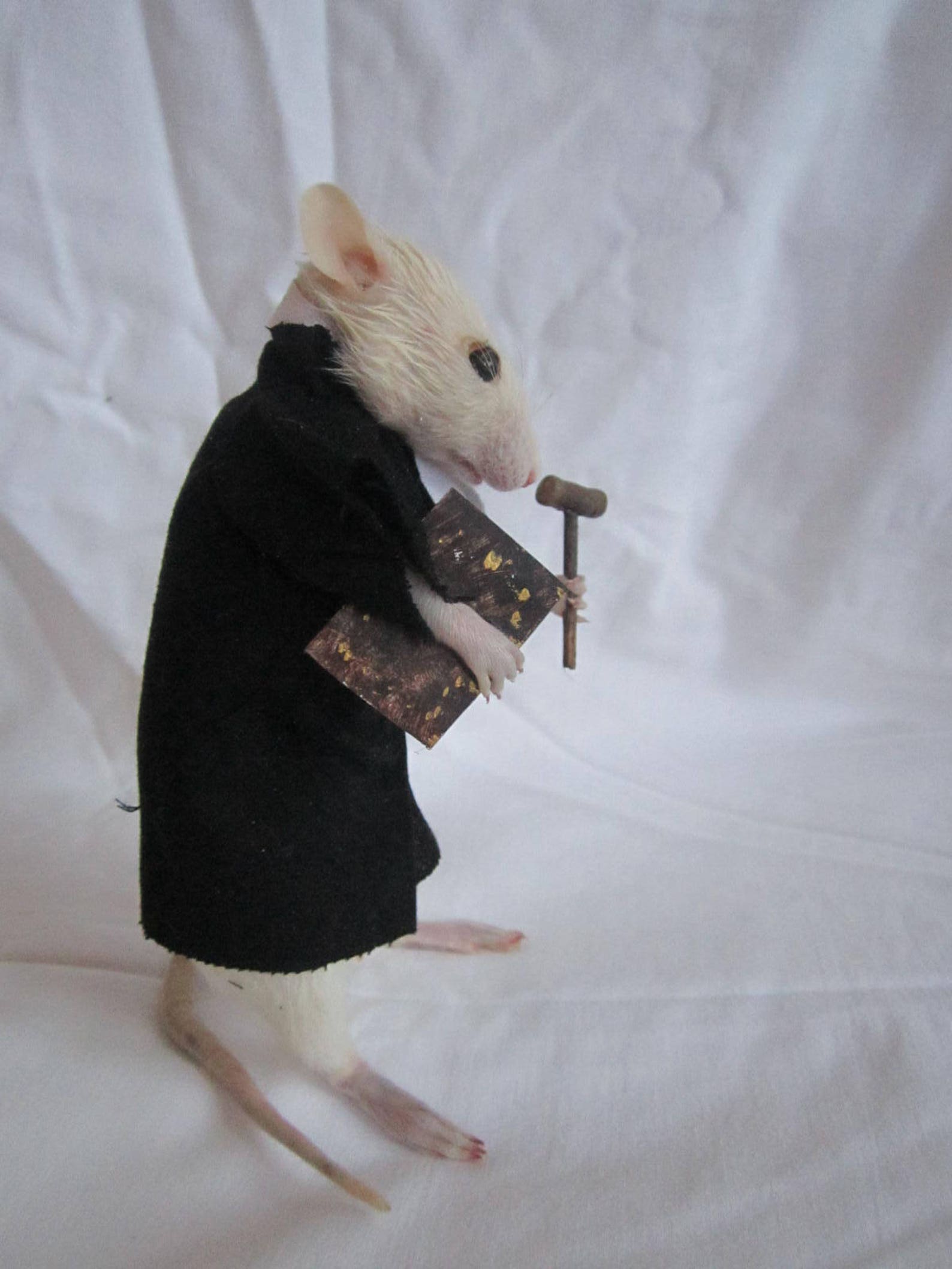 Taxidermy Rat Lawyer Taxidermy Rat Curiosity Oditties - Etsy