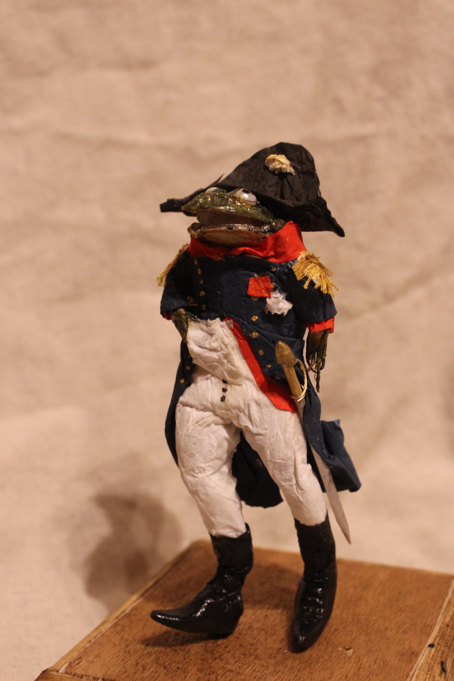 Taxidermy Frog Napoleon Taxidermy Frog Emperor Curiosity | Etsy UK