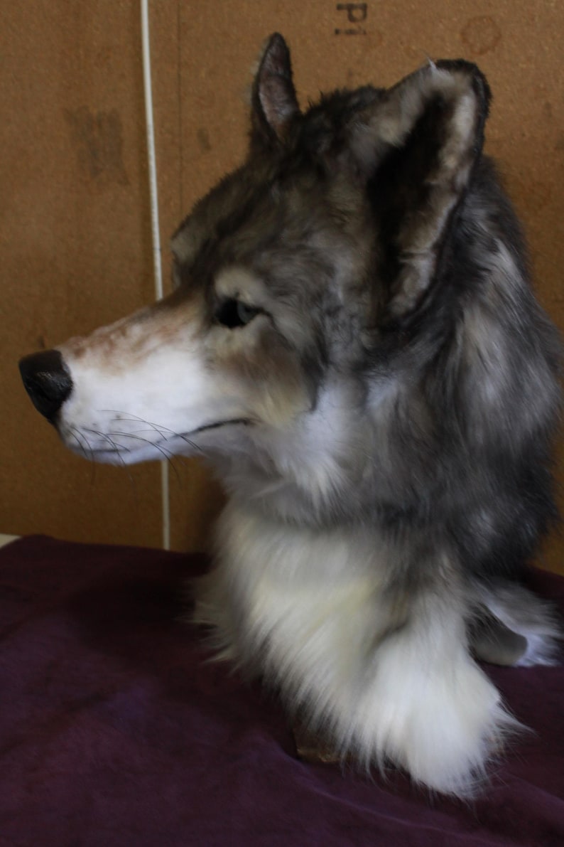 Gray Wolf Fursuit Mask. Realistic Fur Costume. Wolf Head Fursuit ...