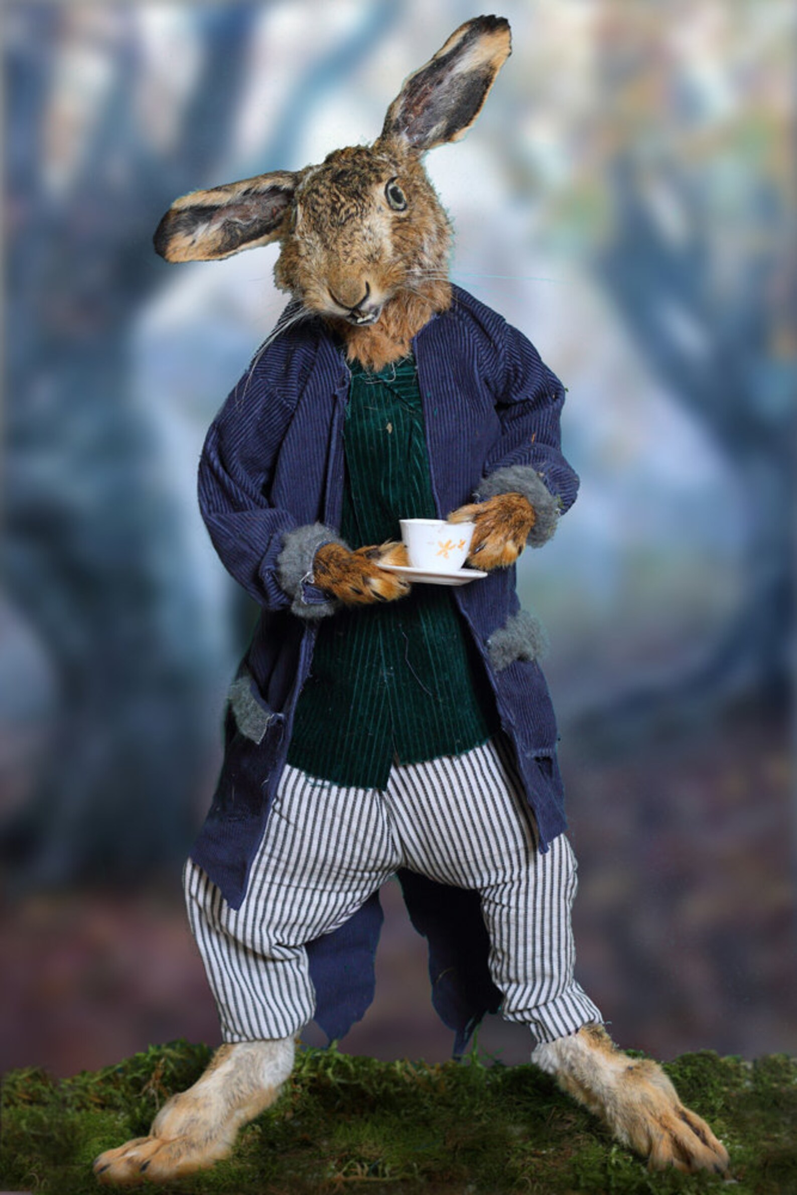 To Reserve Anthropomorphic Taxidermy Mars Hare alice in Wonderland ...