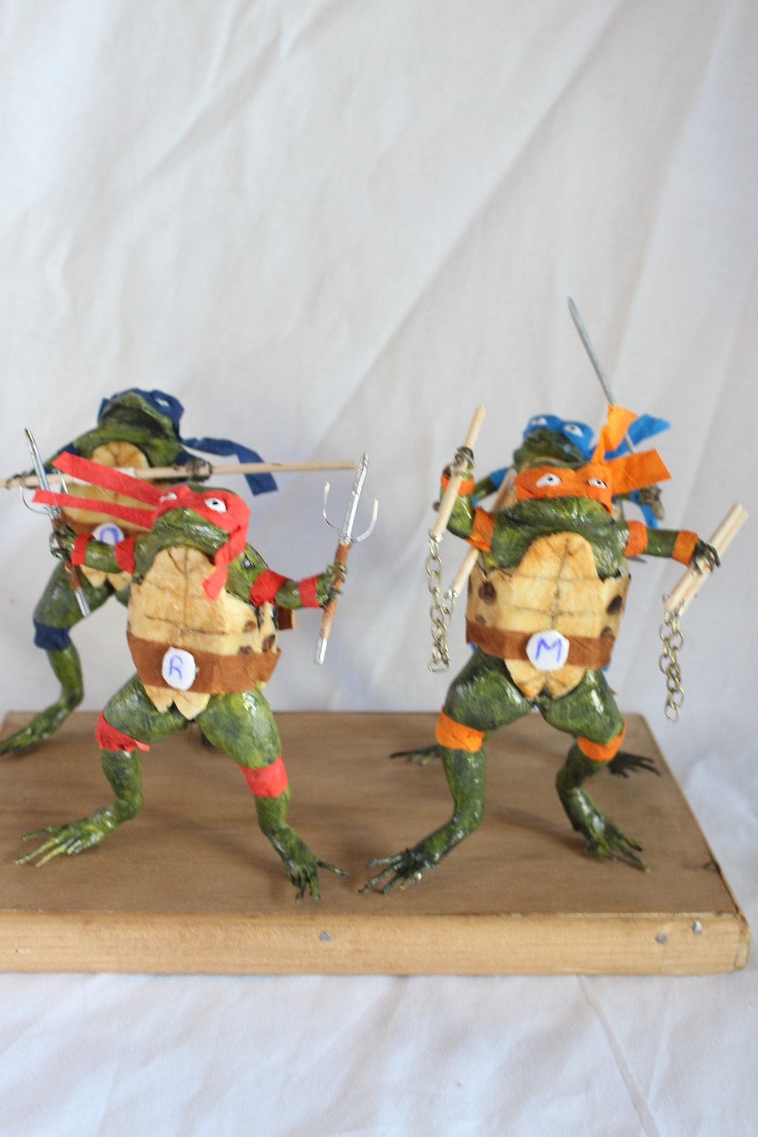 Taxidermy 4 Ninja Frog Set Taxidermy 4frog Comics Collection Mutant ...