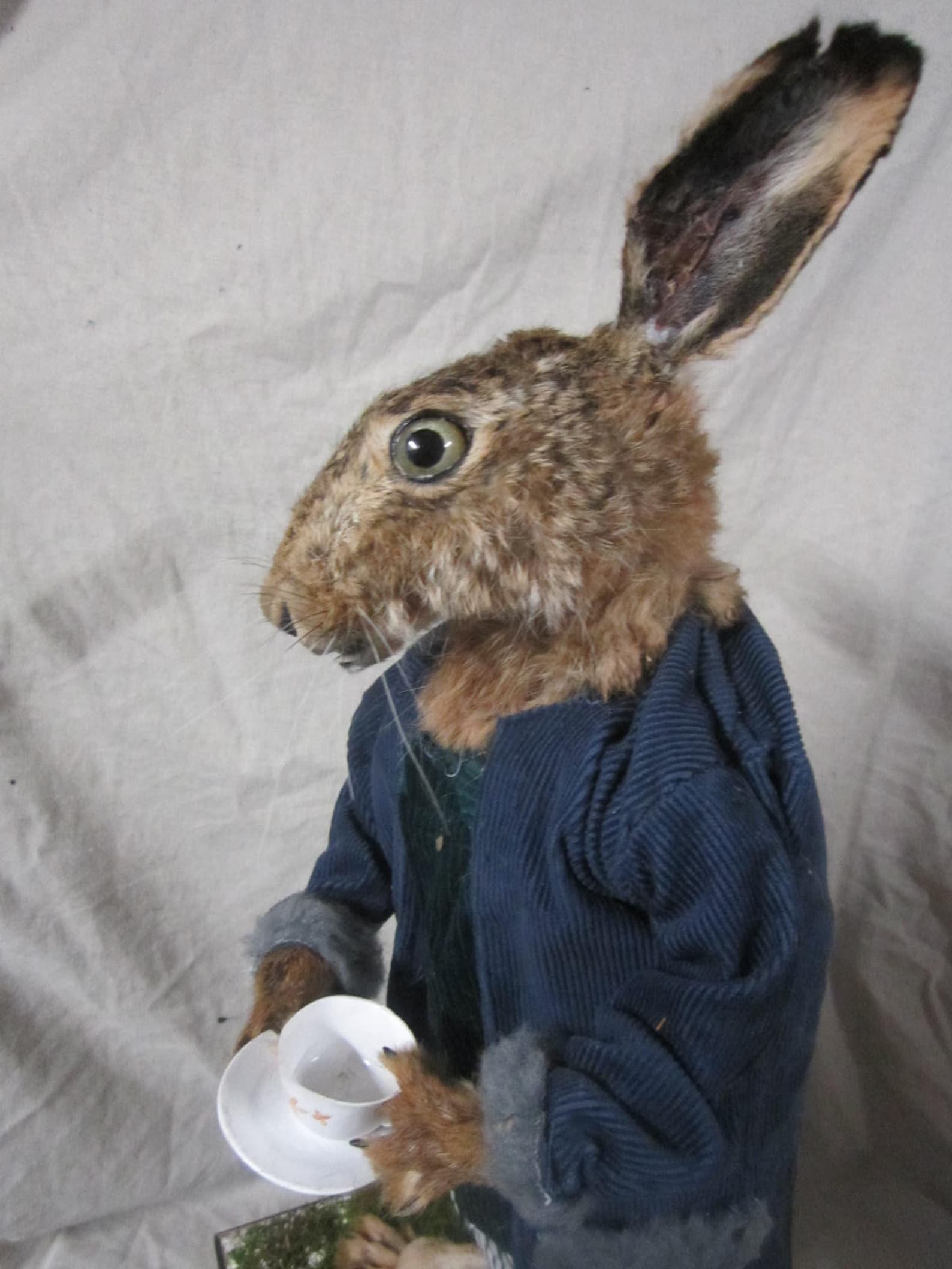 A reserve anthropomorphic taxidermy hare of March alice | Etsy