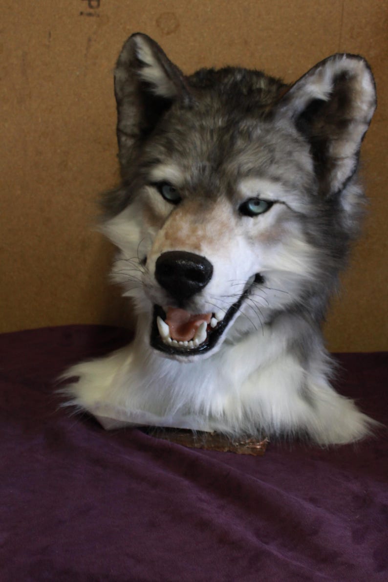 Gray Wolf Fursuit Mask. Realistic Fur Costume. Wolf Head Fursuit ...