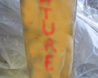 Taxidermy Cabinet Curiosity Fetuses Taxidermy Dragon Dragone - Etsy