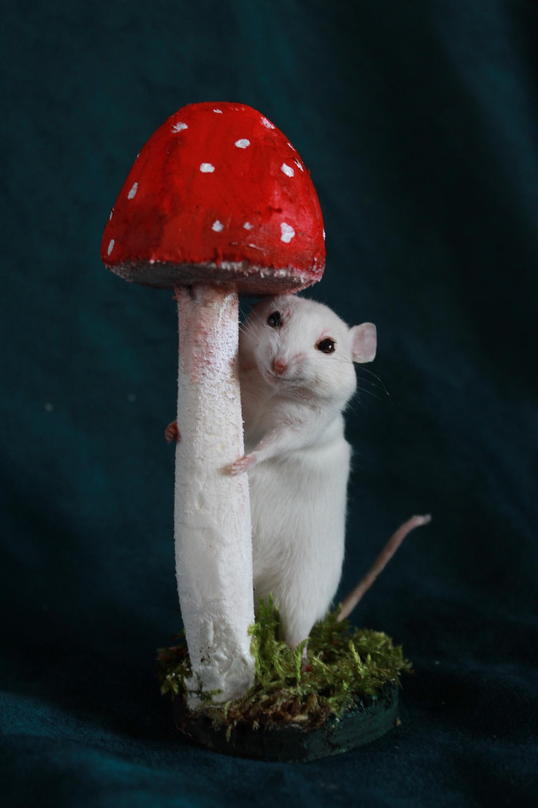 Taxidermy Rat Mouse Mushroom Taxidermy Rat Mushroom Curiosity Oditties ...