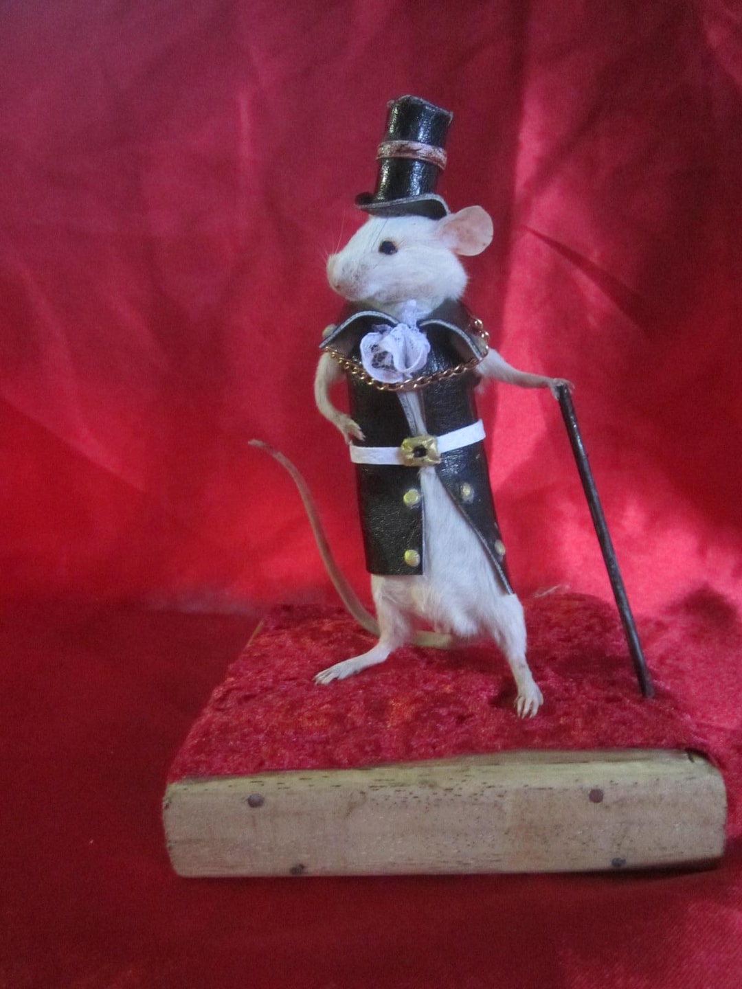 Taxidermy Rat Mouse Dandy Taxidermy Rat Cabinet of Curiosities Oditties ...