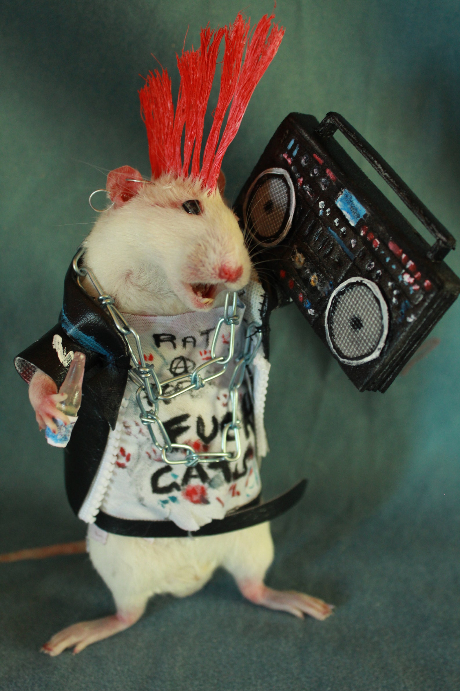 Taxidermie Rat Punk Radio Taxidermy Rat Punk Cabinet of - Etsy