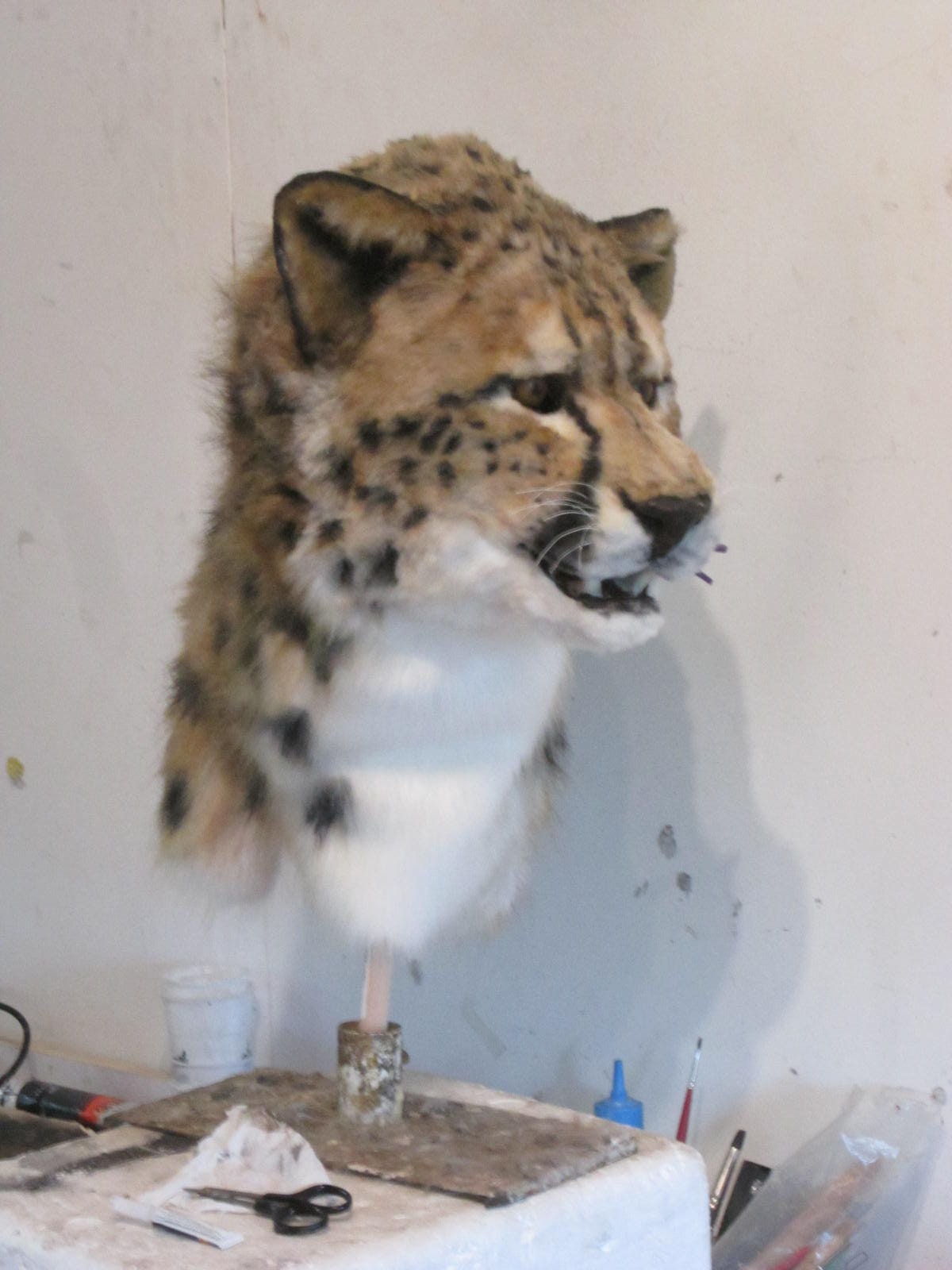 Cheetah Mask Fursuit Mask Cheetah Fursuit to Book | Etsy Australia