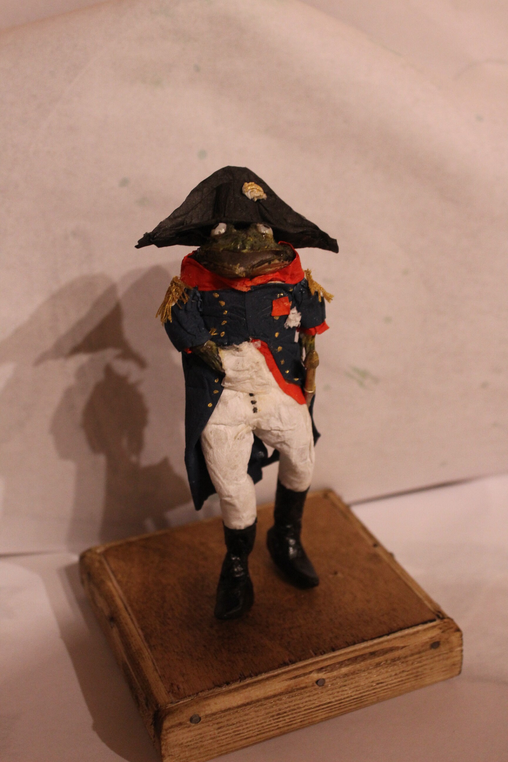 Taxidermy Frog Napoleon Taxidermy Frog Emperor Curiosity | Etsy UK