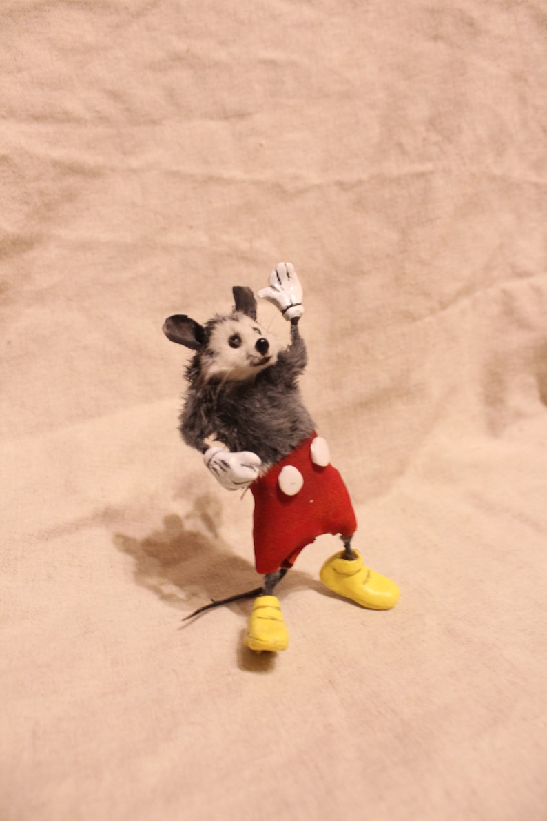 Mickey Mouse taxidermy taxidermy rat curiosity | Etsy