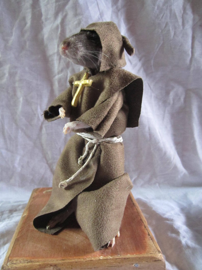 Taxidermy Curiosity Rat Monktaxidermy Rat Cabinet of Curiosity - Etsy