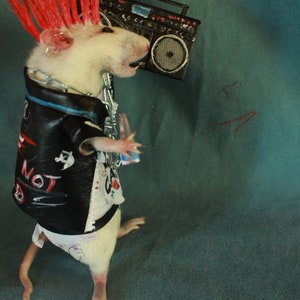 Taxidermy Rat Punk Radio Taxidermy Rat Punk Cabinet of Curiosities ...