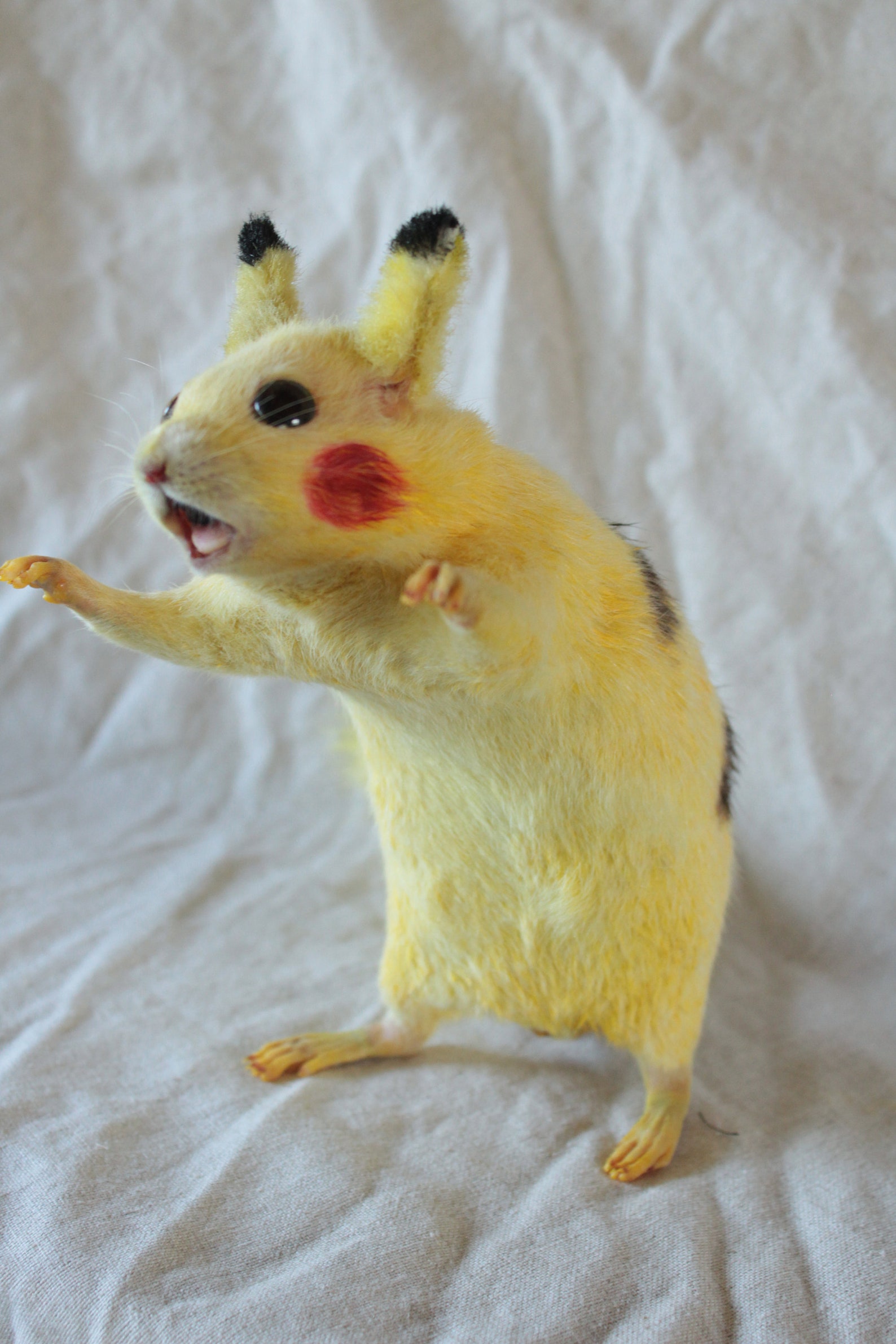 Taxidermy CUTE Rat PIKA Cartoon Japanese Taxidermy Rat PIKA - Etsy