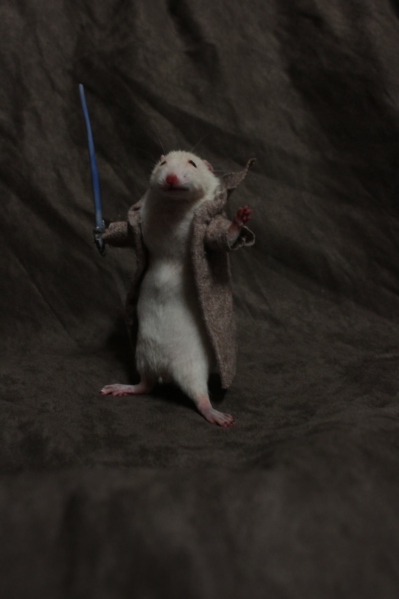 Taxidermie rat jedi stars wars taxidermy rat kuriose praxis | Etsy