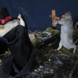Taxidermy Rat Vampire Taxidermy Rat Cabinet of Curiosities Oddities - Etsy
