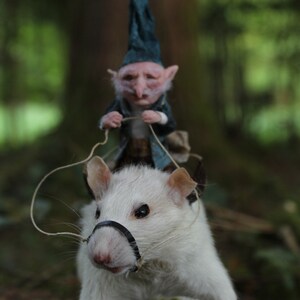 Taxidermy Rat Taxidermy Rat Mount Sculpture Handmade Miniature Fairy ...