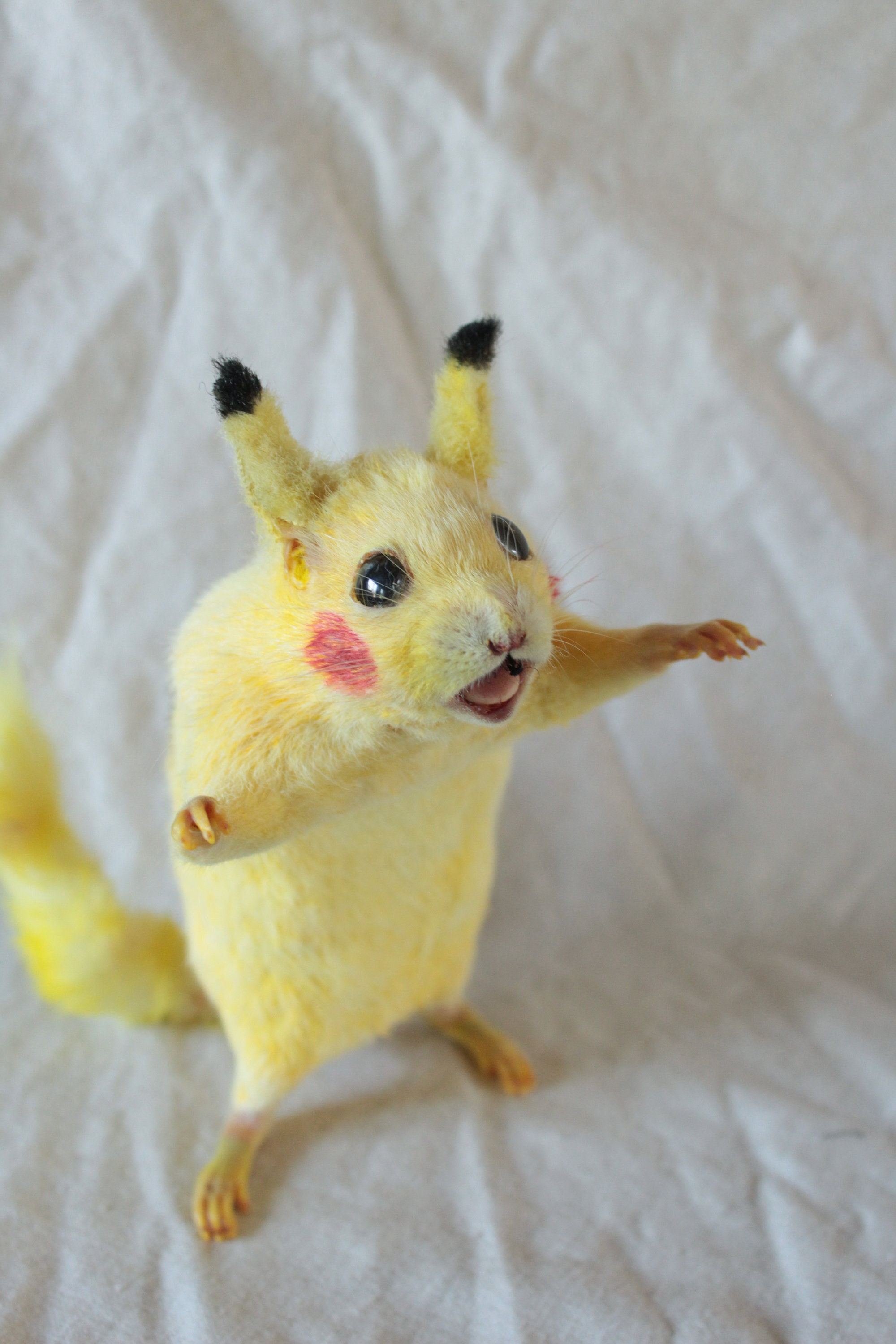 Taxidermy MIGNON Rat PIKA Japanese Cartoon Taxidermy Rat PIKA - Etsy UK
