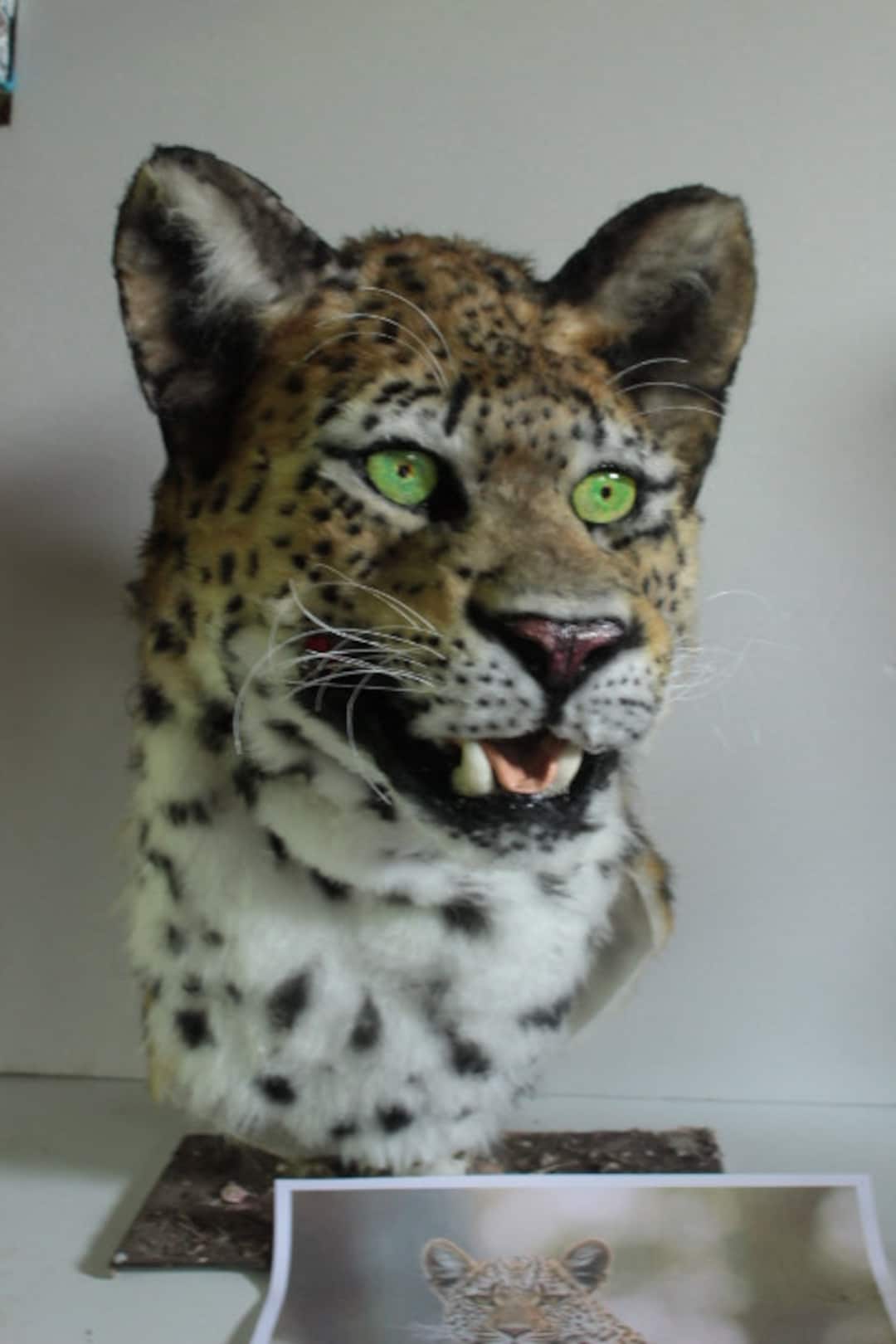 Leopard Mask Fursuit Mask Leopard Fursuit to Reserve - Etsy