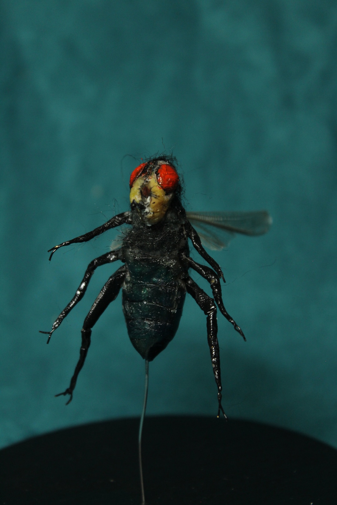 Taxidermy Faux Insect Alien Hornet Wasp Realistic Oddity Poseable Art ...