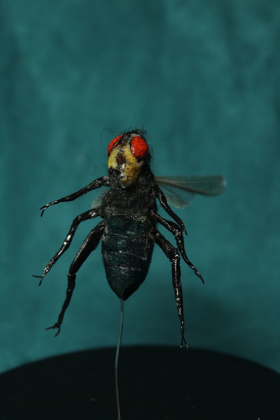 Insect Alien