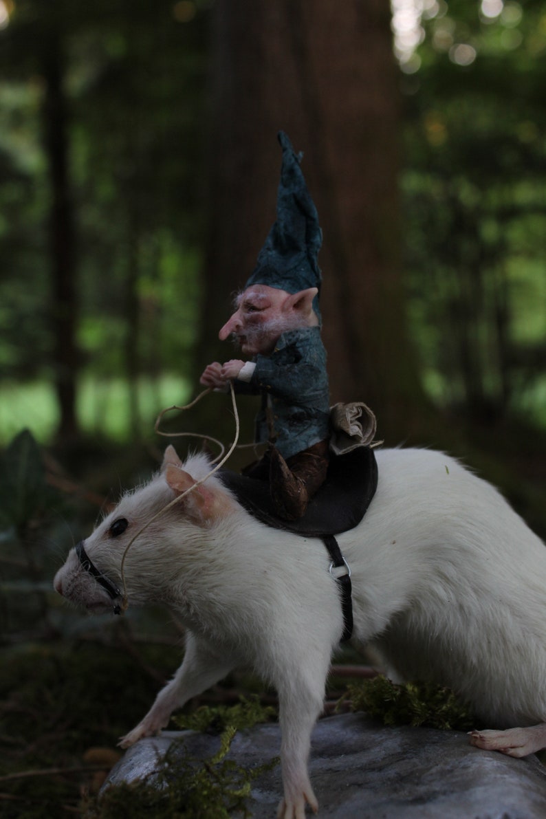 Taxidermy Rat Taxidermy Rat Mount Sculpture Hand Miniature - Etsy