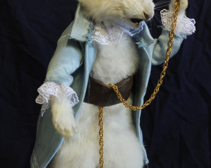 Taxidermy Rabbit Tale Pocket Watch Rodent Taxidermy Rabbit Curiosity ...