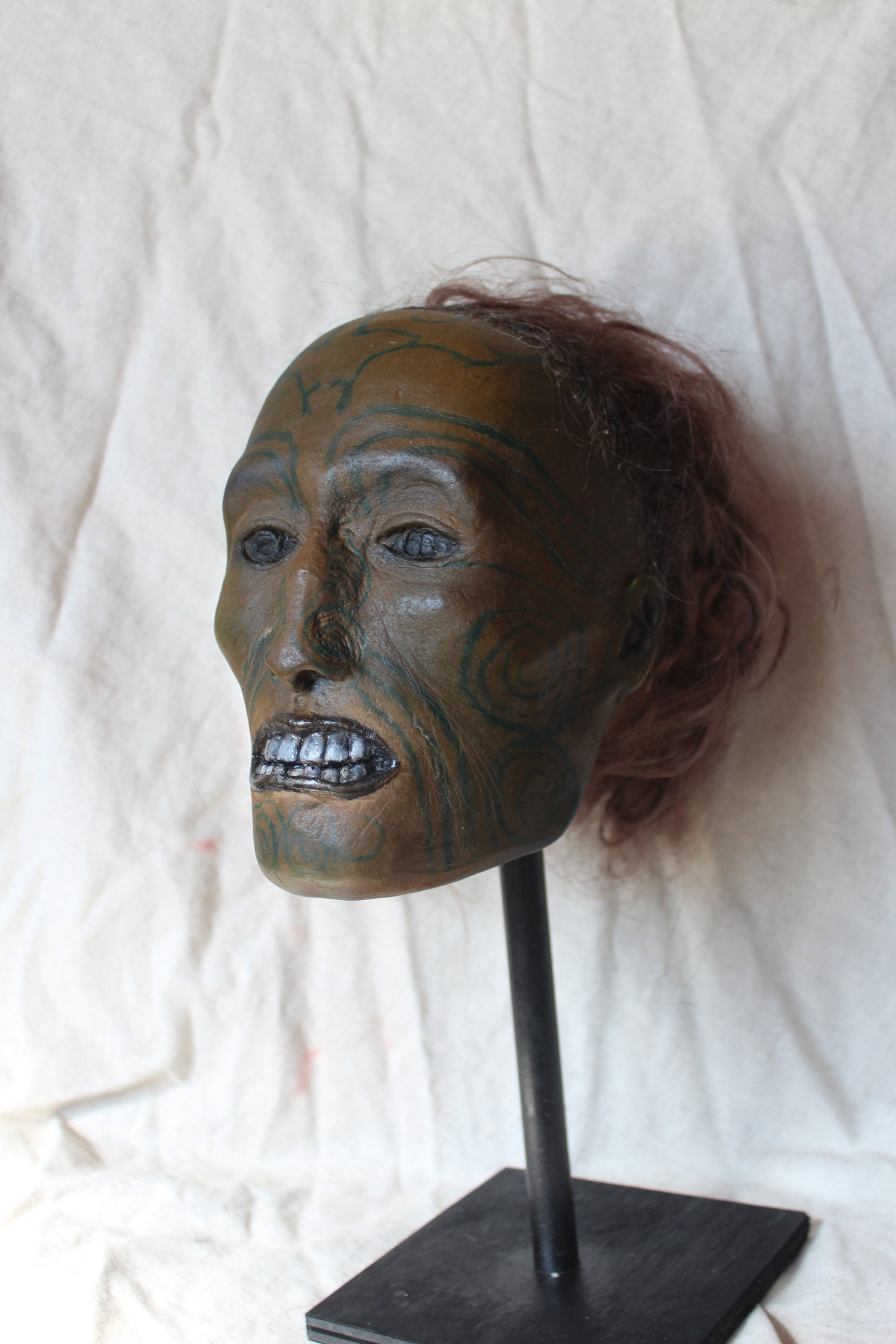 Taxidermy Human Head