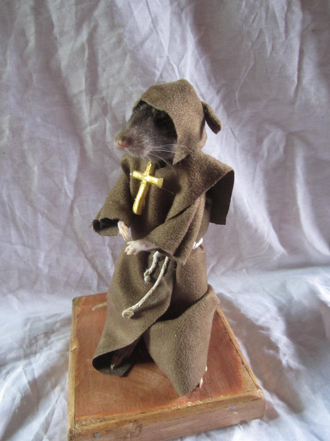 Taxidermy Curiosity Rat Monktaxidermy Rat Cabinet of Curiosities ...