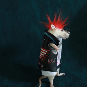 Taxidermy Rat Punk Radio Taxidermy Rat Punk Cabinet of Curiosities ...