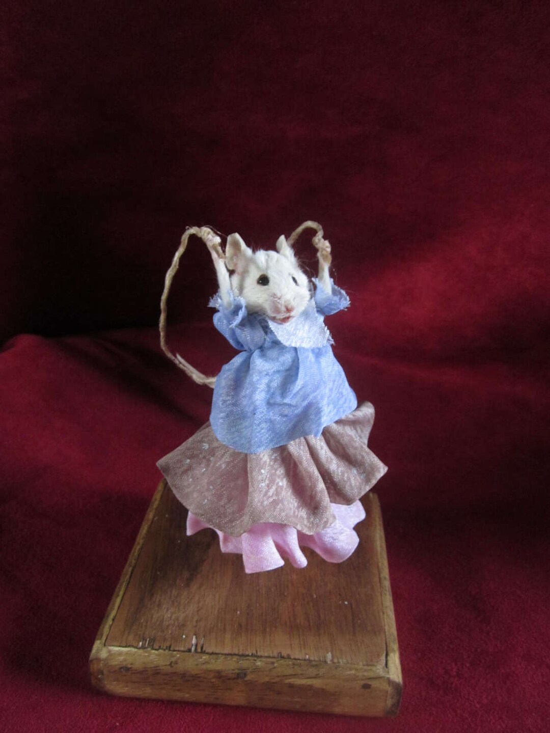 Taxidermy Rat Rope Player Taxidermy Anthropomorphic Curiosity Oditties - Etsy