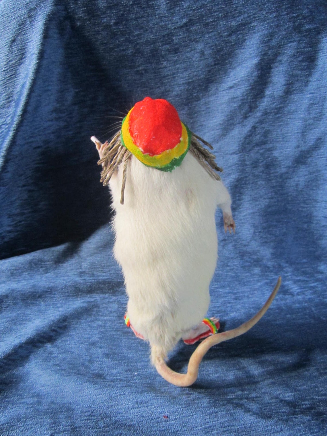Taxidermy Rat Rasta Taxidermy Anthropomorphic Rat Curiosity - Etsy