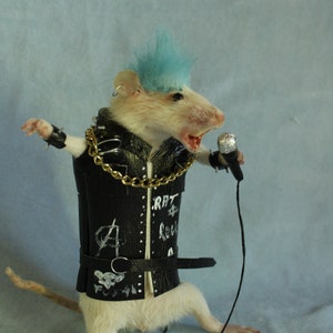 Taxidermy Rat Punk Rock Star Taxidermy Rat Punk Rocker Cabinet of ...