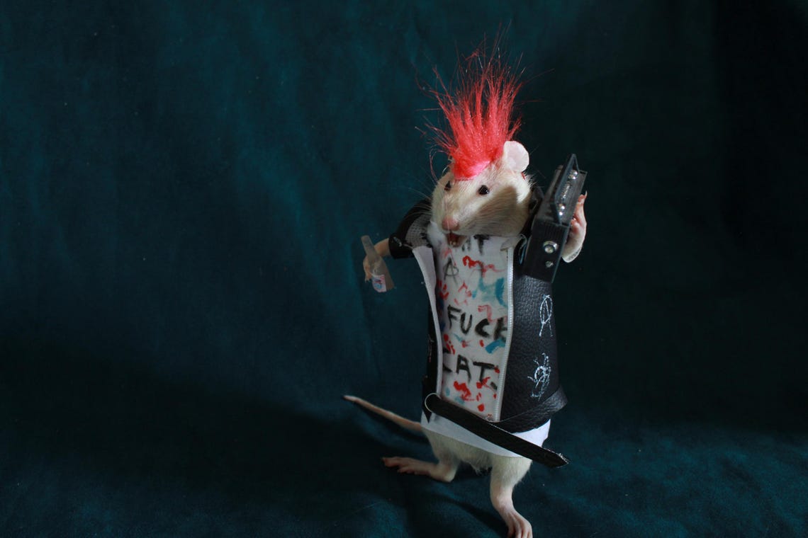 Taxidermy Rat Punk Radio Taxidermy Rat Punk Cabinet of Curiosities ...