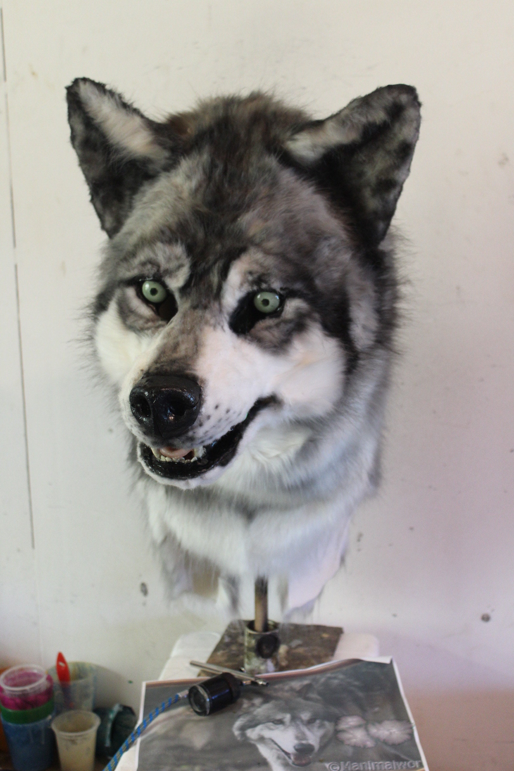 Grey Wolf Mask Fursuit Mask Wolf Fursuit to Book | Etsy