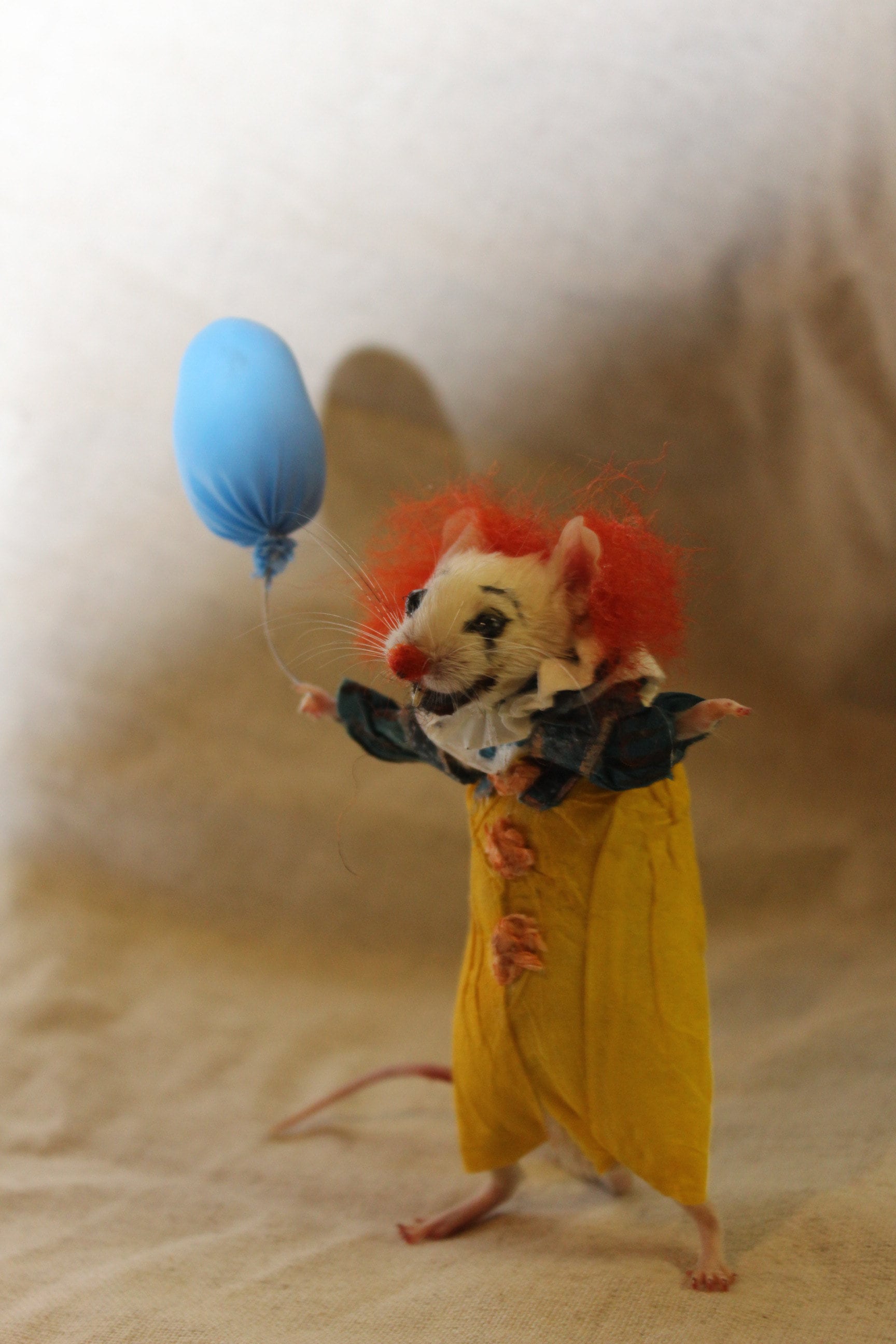 Taxidermy Rat Clown Mouse horror Taxidermy - Etsy
