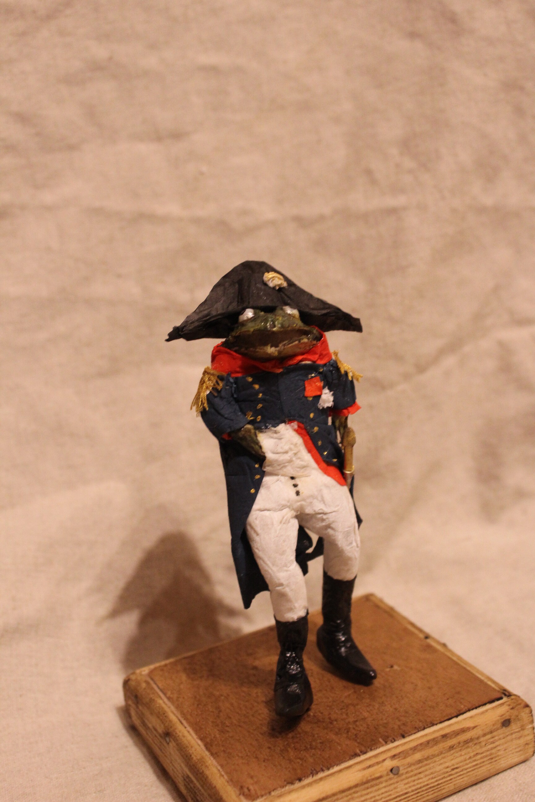 Taxidermy Frog Napoleon Taxidermy Frog Emperor Curiosity | Etsy UK