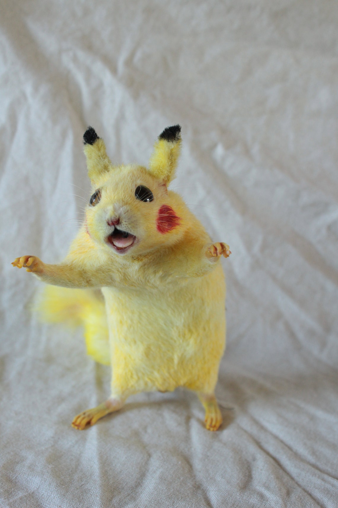 Taxidermy MIGNON rat PIKACHU manga taxidermy rat PIKACHU | Etsy